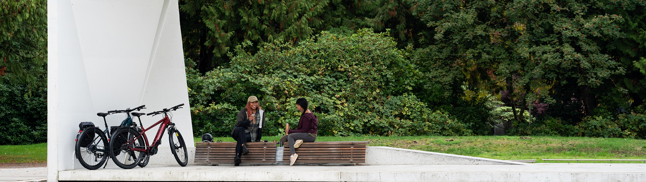 Cruiser Bikes – Mud Sweat and Gears